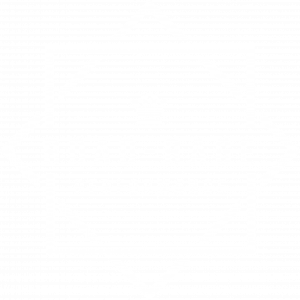 Road Rage Performance – The south easts most trusted euro tuning company